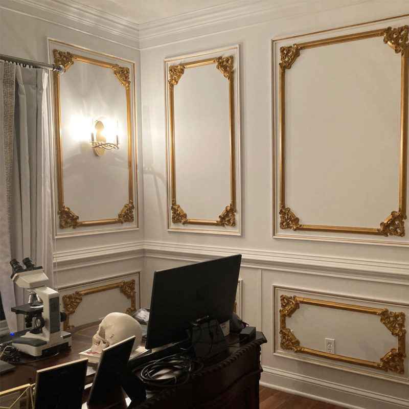 Classic Panel Molding - Molding for Walls and Ceiling - More Than Moldings