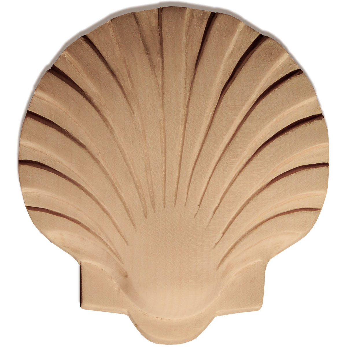 Providence Shell Wood Carving - Wood Carvings - Wood Rosettes