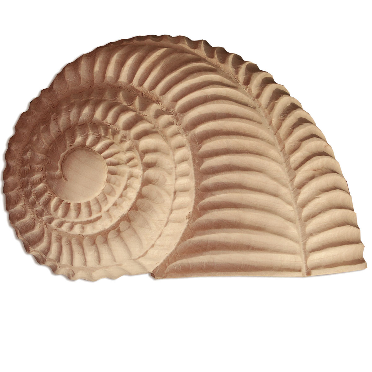 carved wood shells onlays - wood appliques - Inviting Home